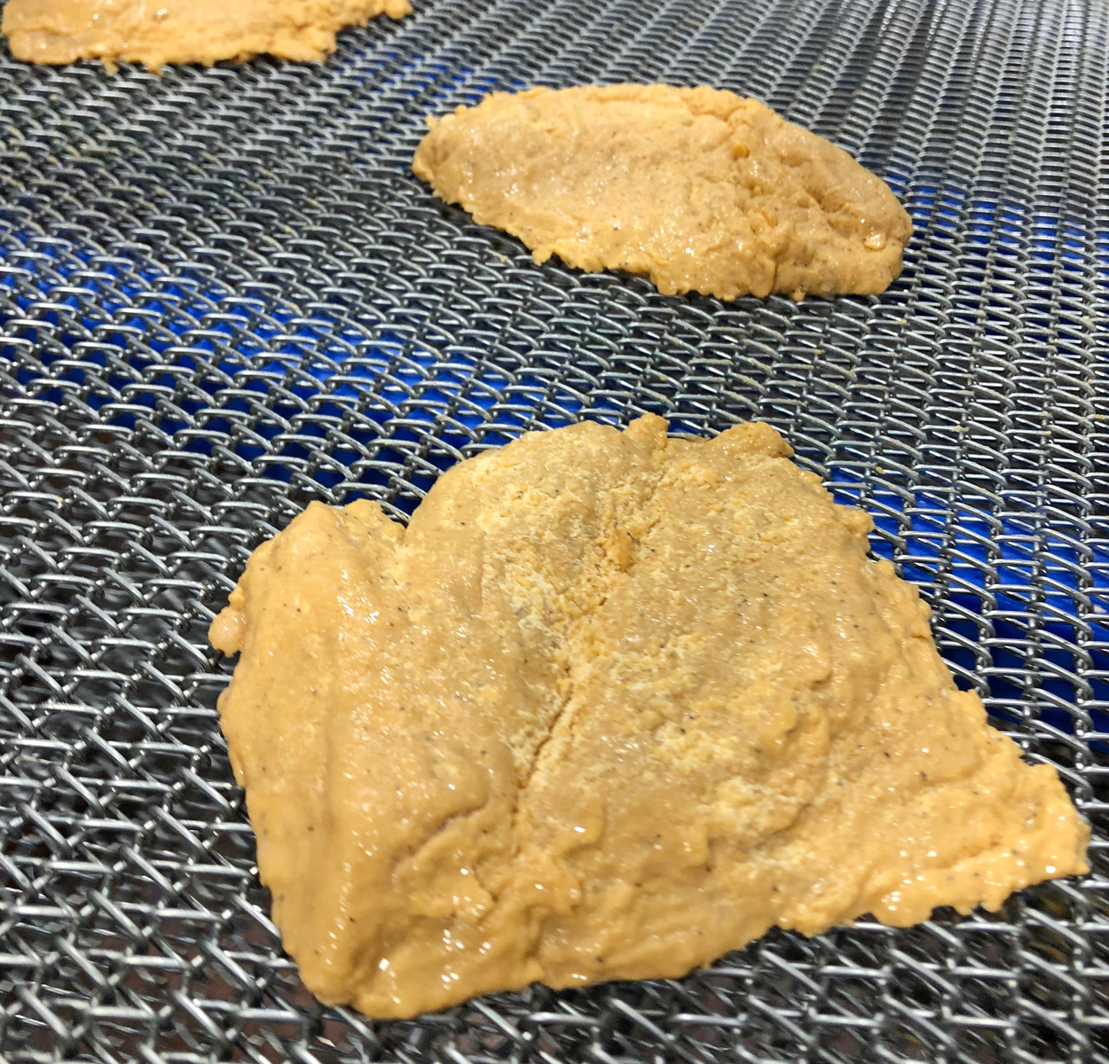 Spray Coating Chicken Breasts - WILEVCO Coating Applicator